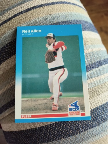 NEIL ALLEN 1987 FLEER GLOSSY #484 FREE SHIPPING | eBay