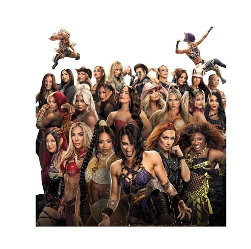 WWE Womens Evolution Wrestling Water Resistant Sticker WWF WCW AEW | eBay