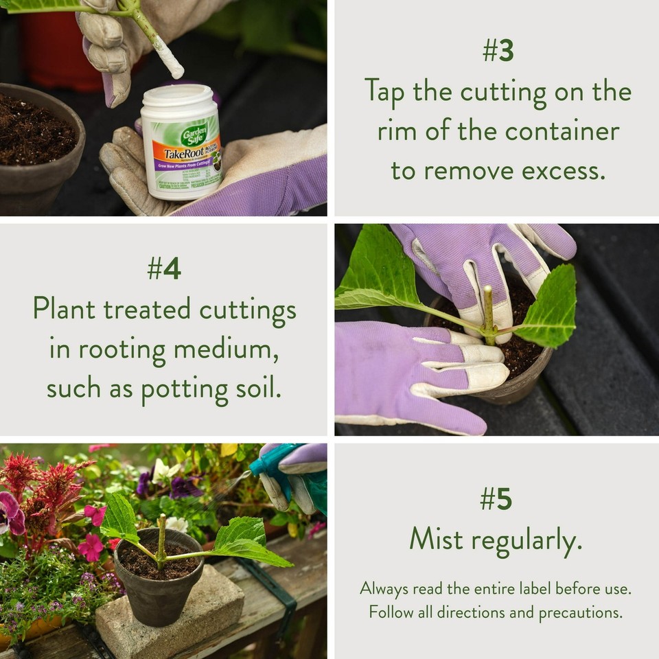 Garden Safe Take Root Rooting Hormone, 2-Ounce | eBay