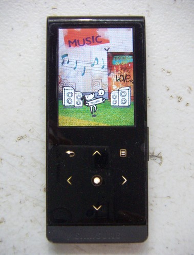 Samsung YP-T10 (4GB) Digital Media MP3 Player Black with Bluetooth ...
