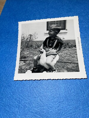 VINTAGE BLACK AND WHITE PHOTO BOY SITTING ON CHICKEN DATED 1952 | eBay
