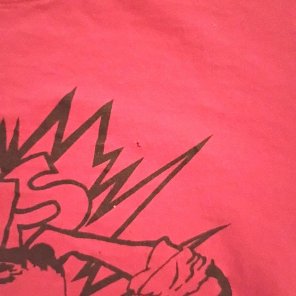Vintage 2003 The Pagans Pink Album T-shirt Cleveland Punk Rock Hall ...