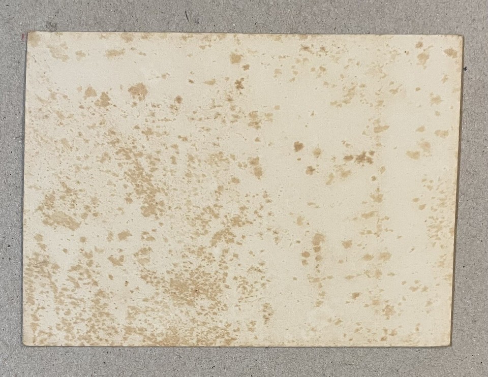 Vintage Chinese pretty lady portrait studio tinted color photo ...