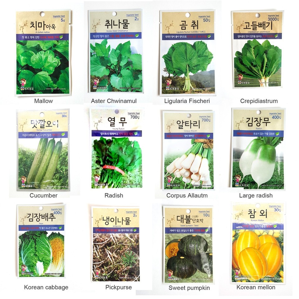 Korean Healthy Vegetable Lettuce, Sesame, Radish, Chives, Cirsium Seed ...