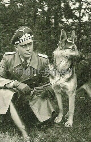 WW2 Picture Photo German Officer With His Dog 3310 | eBay