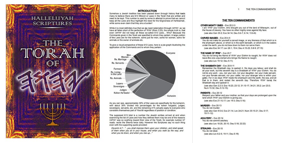 HalleluYah Scriptures Genuine Leather Standard Edition & Extra Books | eBay