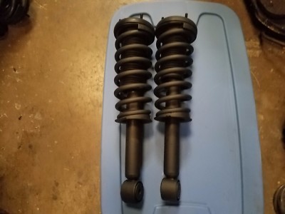2000-2002 Lincoln LS Rear Struts Shocks Set 2PC | Right | Genuine OEM