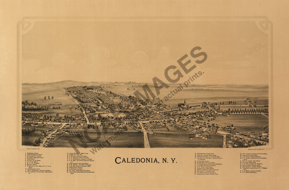 Panoramic Map of Caledonia NY 16x24 | eBay