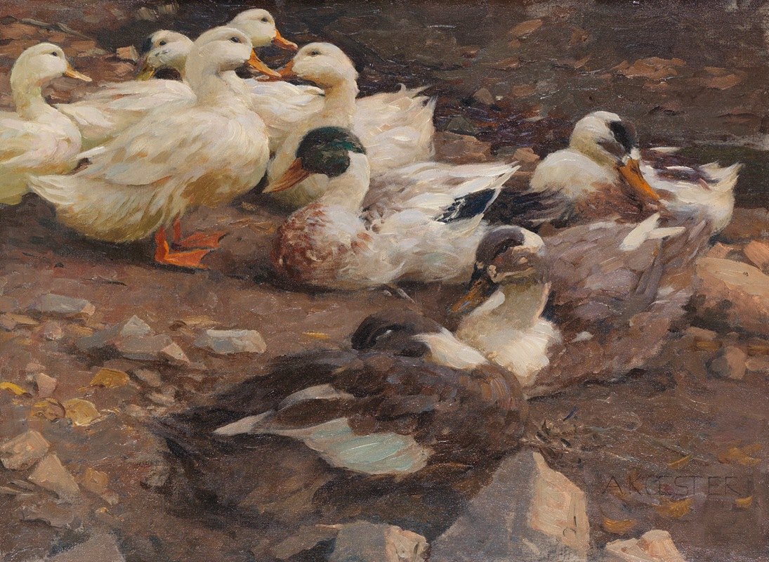 Alexander Koester Nine ducks on the bank of the pond Canvas Print ...
