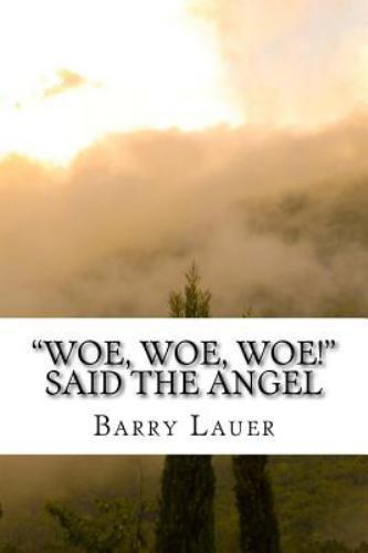 Woe, Woe, Woe! Said the Angel by Barry Lauer (2016, Trade Paperback ...