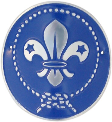 BOY SCOUT BSA OFFICIAL LICENSED WORLD CREST HIKING STAFF STAVE STICK ...