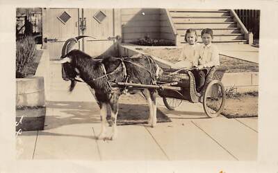 J78/ Interesting RPPC Postcard c1910 Early Goat-Drawn Cart Child 481 | eBay