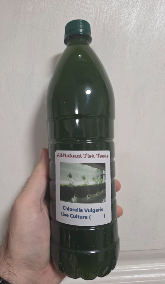 Green Water (Chlorella) - Starter Culture - Fry Food + 10L Fertilizer ...