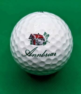 Vintage Annbriar Golf Course logo golf ball (Waterloo, Illinois) | eBay