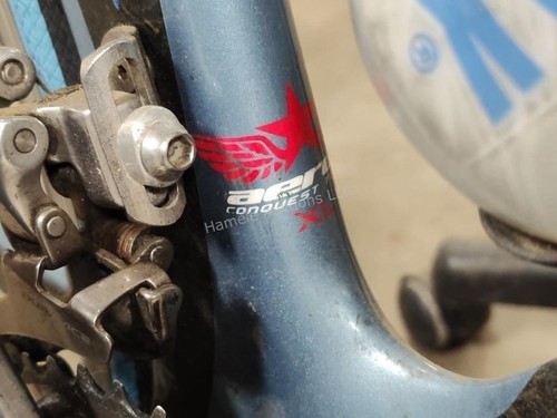 Blue Triad SP, SRAM Rival, Carbon Fiber Triathlon Bike, | eBay