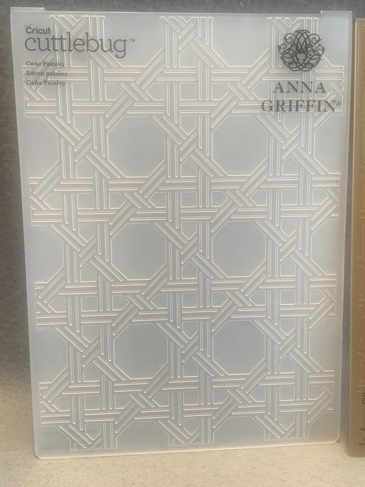 Anna Griffin Cane Paisley Embossing Folder w/Border Set 5x7 & 1x7 ...