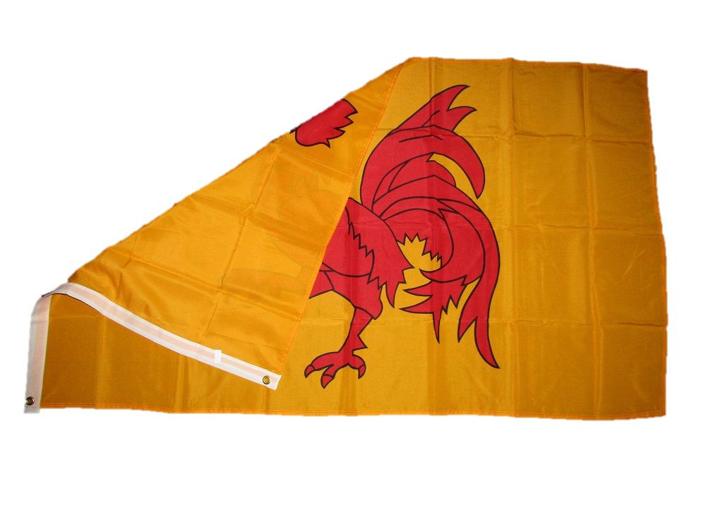 Flag of Wallonia 3x5 ft Banner Bold Red Walloon Rooster French Belgium ...