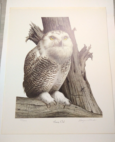 Signed and Numbered Owl Art Print by Reagan Word ed. 1337/2500 | eBay