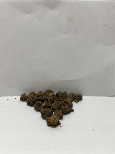 1-100 ANEMONE MR FOKKER (DE CAEN) BULBS BLUE IDEAL FOR ROCKERIES ...