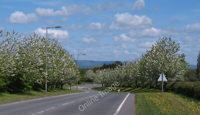 Photo 12x8 The road into Dishforth Section of road linking Dishforth ...