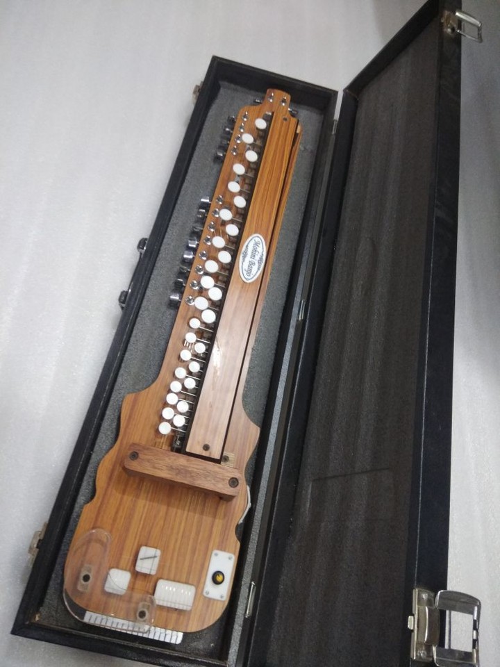 Banjo/Bulbul tarang/Indian banjo electric professional quality,hand ...