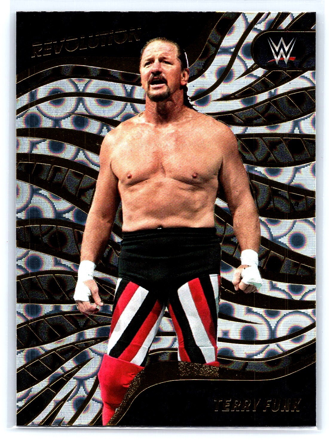 2023 PANINI REVOLUTION WWE GROOVE PARALLEL CARD #120 TERRY FUNK WWF | eBay