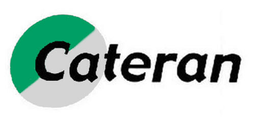 Catalytic Converter-Direct Fit Cateran 53316 for sale online | eBay