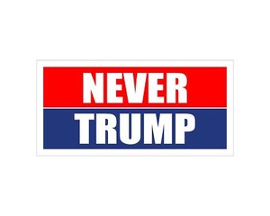 Car Magnet - Never Trump B 2020 Trm332 | eBay