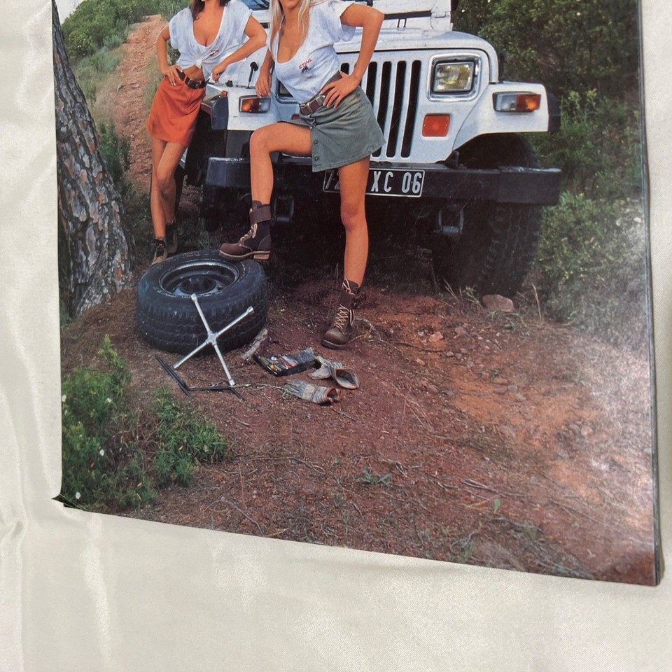 Stihl 1996 Calendar Pinup Girls Man Cave Vintage 12x24 | eBay
