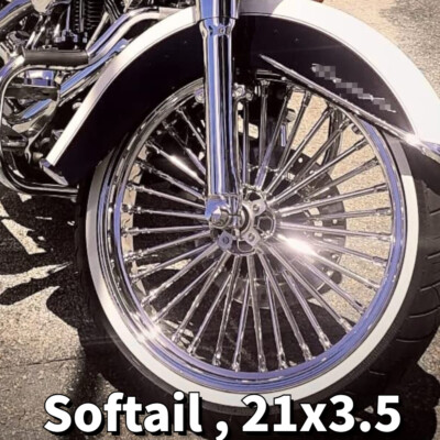 21x3.5 Fat Spoke Front Wheel for Harley Heritage Softail Fatboy FLSTN ...