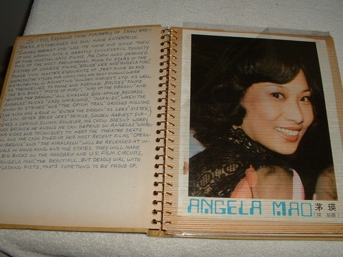 Lot of Taiwanese Martial Arts Actress Angela Mao Super Fan's Albums and ...