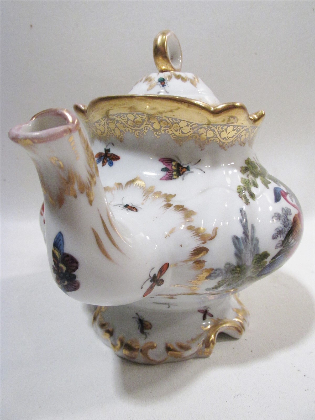 Hand Painted Richard Klemm Dresden Birds of Paradise Teapot Insects ...