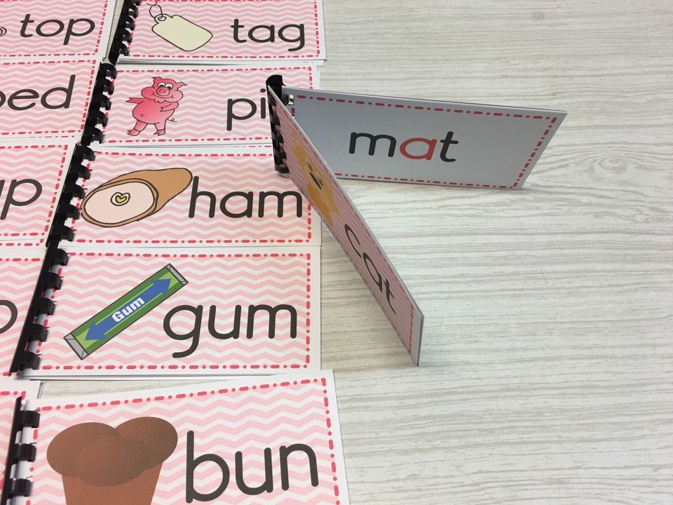 NEW Montessori Materials -The Pink Series - 24 CVC Word Families ...