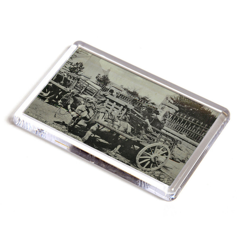 FRIDGE MAGNET - Vintage Ireland - Irish Life. Killarney Donkeys | eBay UK