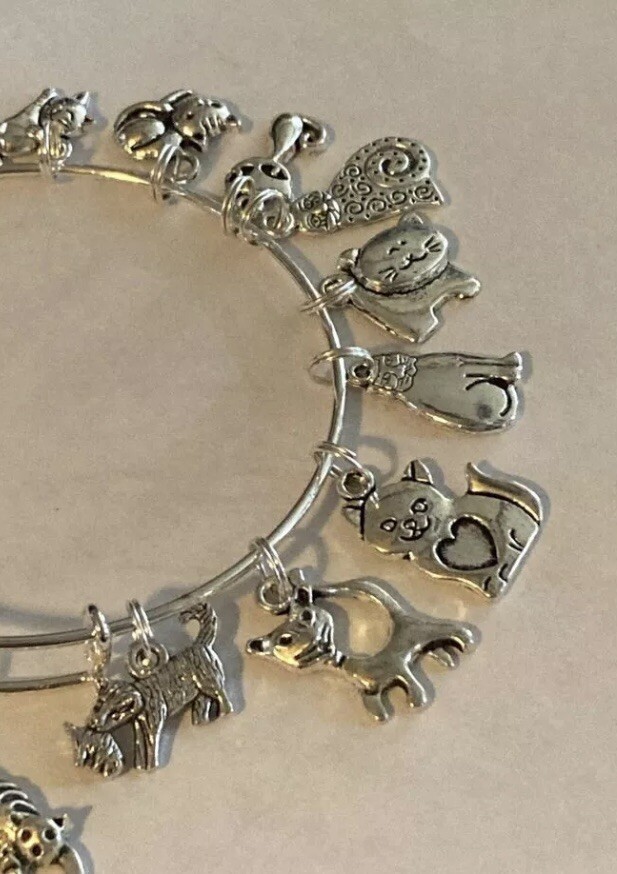 CRAZY CAT LADY Chram Bracelet 18 cat charms Love Cats Fun Gift ...