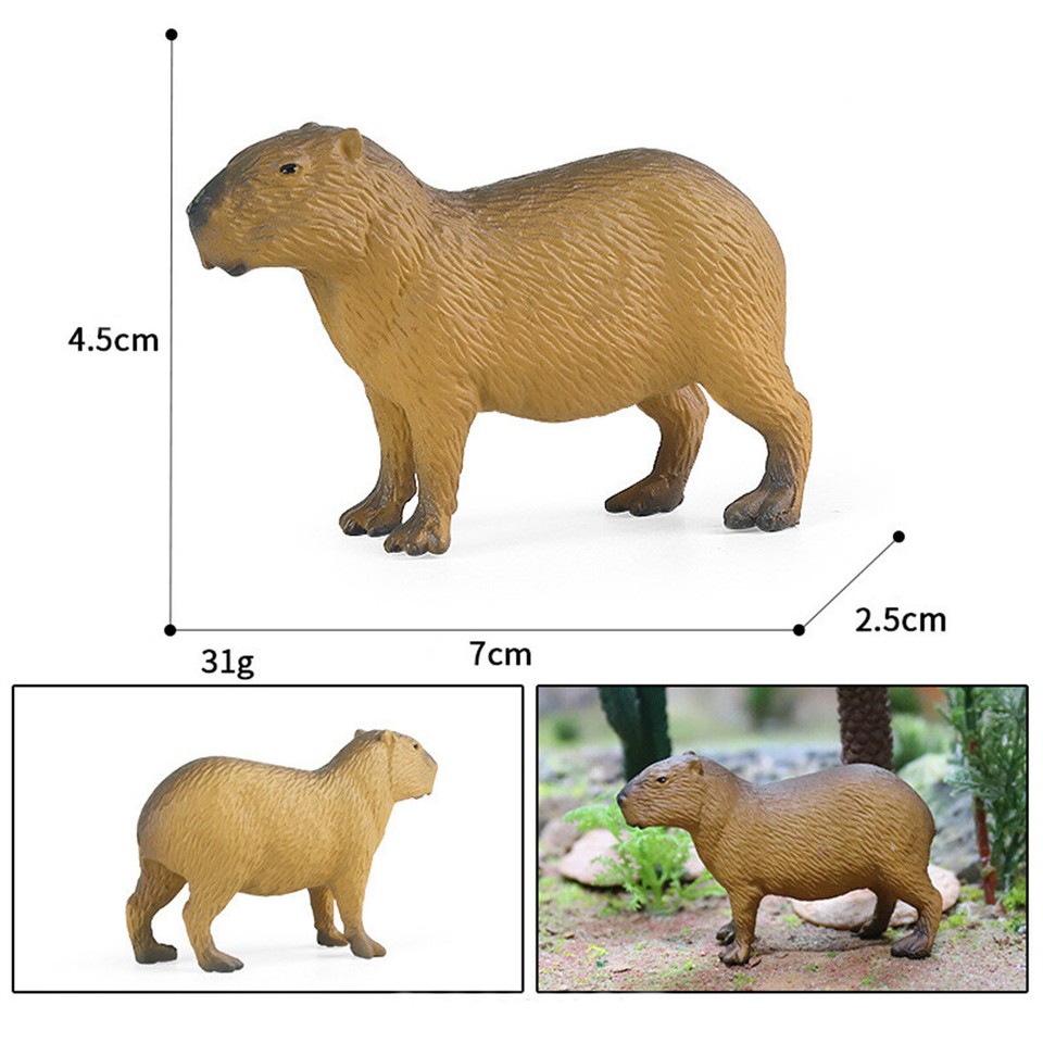 Capybara Model Animals Action Figure Hydrochaeris hydrochaeris Decor ...