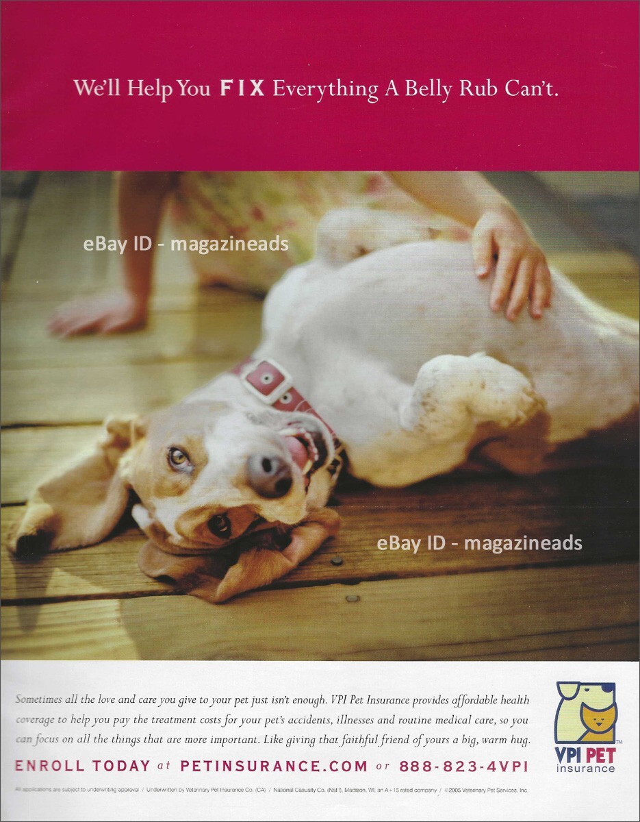VETERINARY PET INSURANCE 1-Page MAGAZINE PRINT AD 2005 BEAGLE getting ...