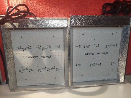 Mars Hydro TS 600 LED Grow Light 100W Full Spectrum 2 Pack | eBay