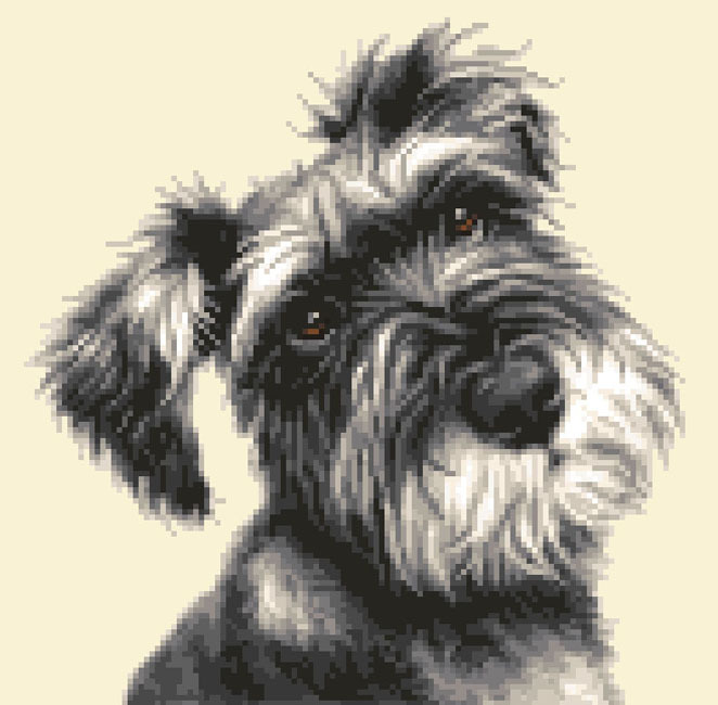 MINIATURE SCHNAUZER dog, full counted cross stitch kit *Jann Designs ...