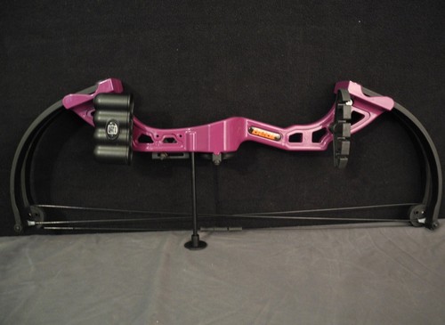 Bear Archery Brave RH Draw Compound Bow with Quiver Purple | eBay