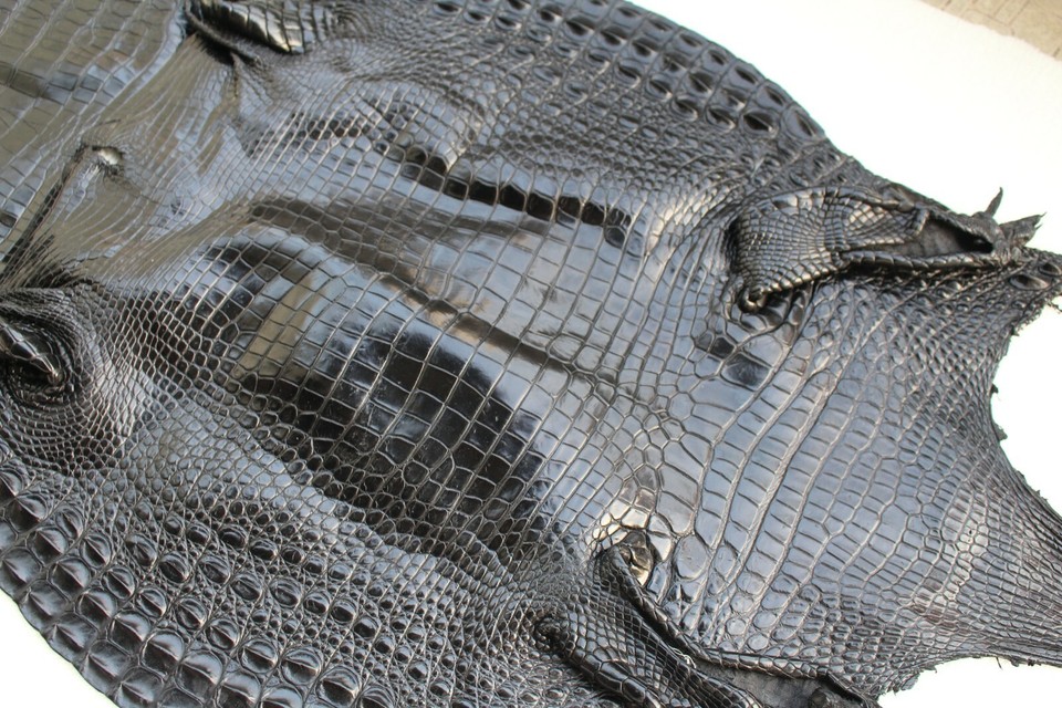 Black Genuine Crocodile Skin Leather Hide Exotic Pelt taxidermy Craft # ...