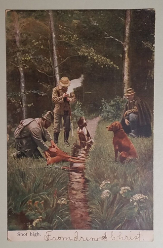 Shot High - Hunting Undivided Back Postcard | eBay