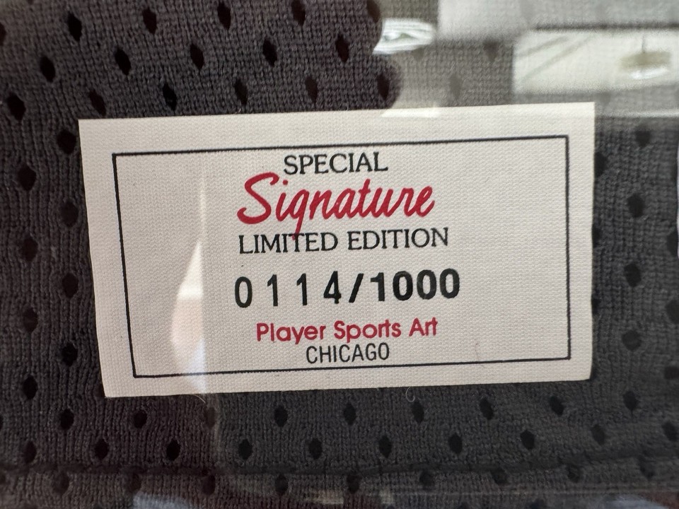 Ultra Rare Walter “Sweetness” Payton AUTOGRAPH Jersey 0114/1000 | eBay