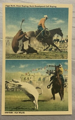 Cowboy Western Rodeo Vintage Postcard Jiggs Burke Roping Calf Steer ...