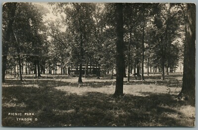 LYNDON OH PICNIC PARK ANTIQUE REAL PHOTO POSTCARD RPPC | eBay