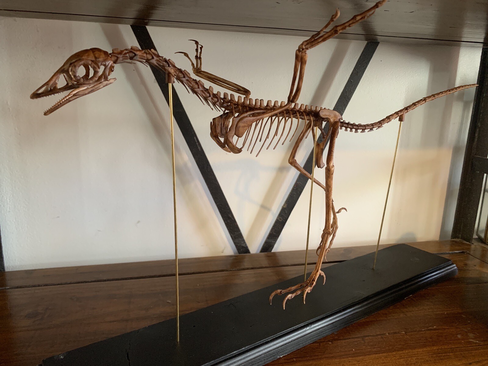 Dinosaur / replica of Archaeopteryx skeleton 60 cm black wood base | eBay
