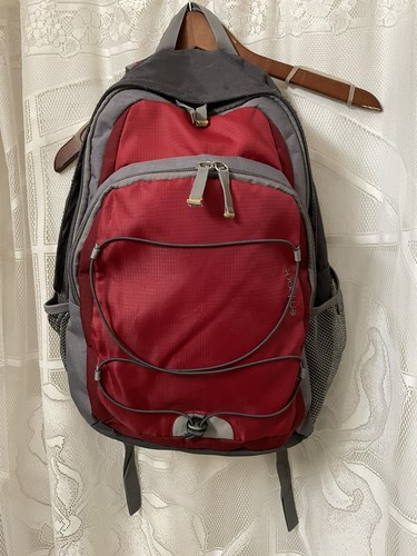 Embark Red Gray Two Shoulder Strap Two Pocketed Backpack Lightweight | eBay