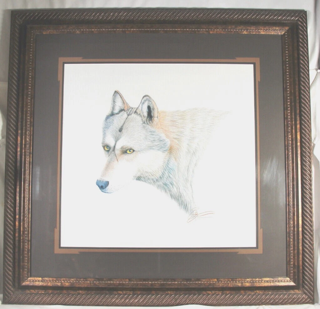 Brown Alpha Female Wolf