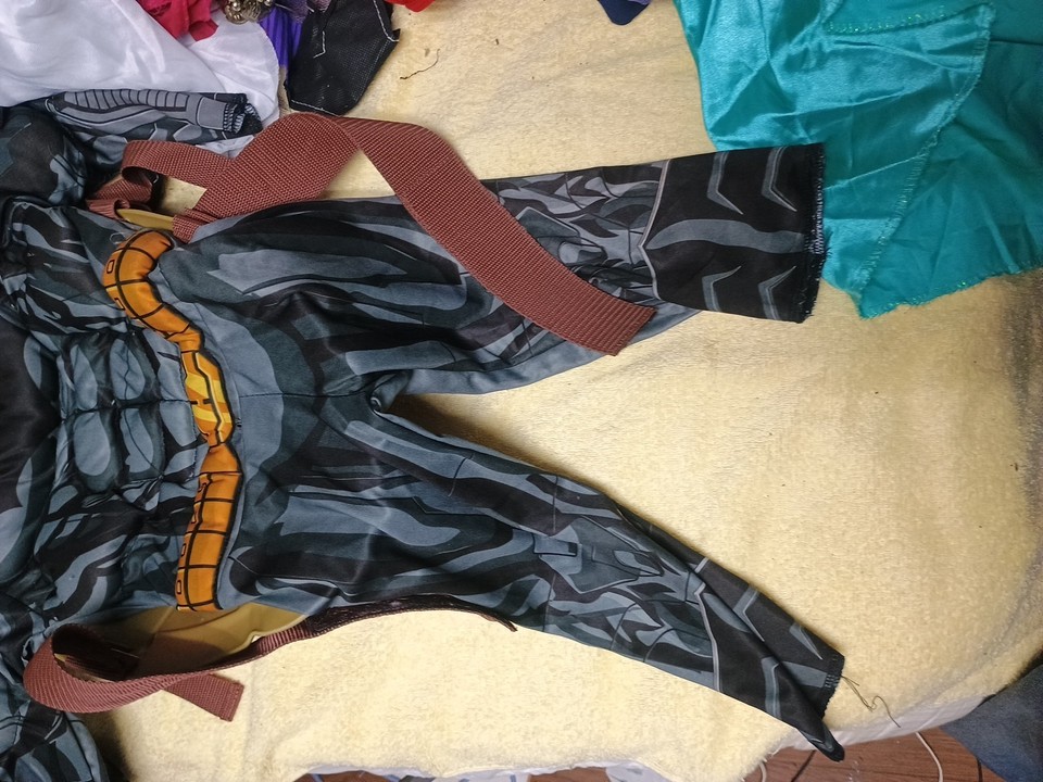 Teenage Mutant Ninja Turtles Muscle Suit With Plastic Shell Halloween ...