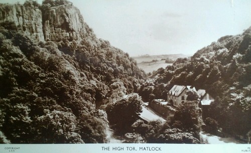 Matlock UK RPPC Postcard Early 1900s Rare High Tor House Forest | eBay